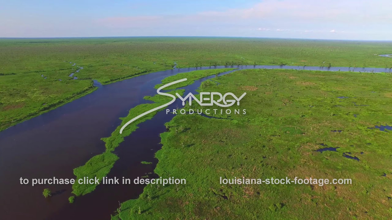 053 aerial drone pass manchac marsh lake ponchartrain basin stock ...