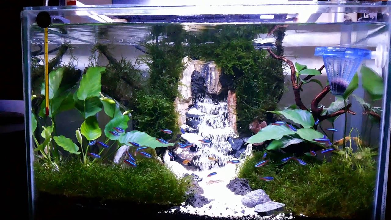 Aquascape mini - YouTube