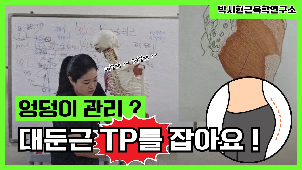 박시현근육학연구소 체형관리 근육학 수업현장엉덩이 관리 대둔근 Tp를 잡아요 Youtube