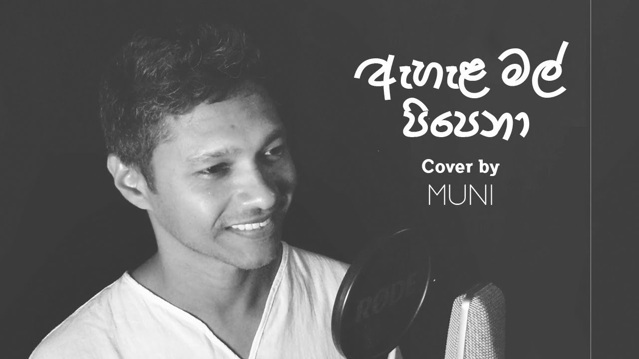 ඇහැළ මල් පිපෙනා Cover Song by Muni ( Offcial Music Video ) - YouTube