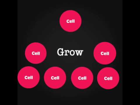 How do we produce genetically identical cells? - YouTube