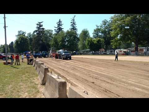 Primal Instinct in Centerville Pull- Hot Street 1st Place