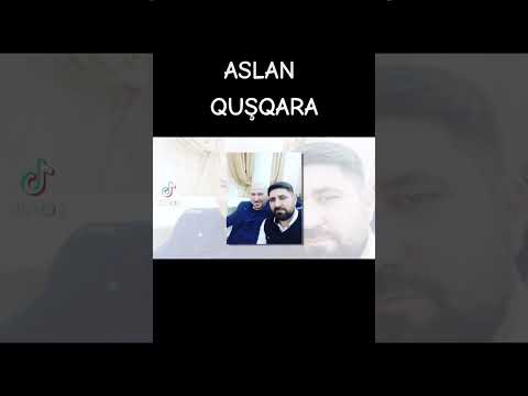 ASLAN QUŞQARA