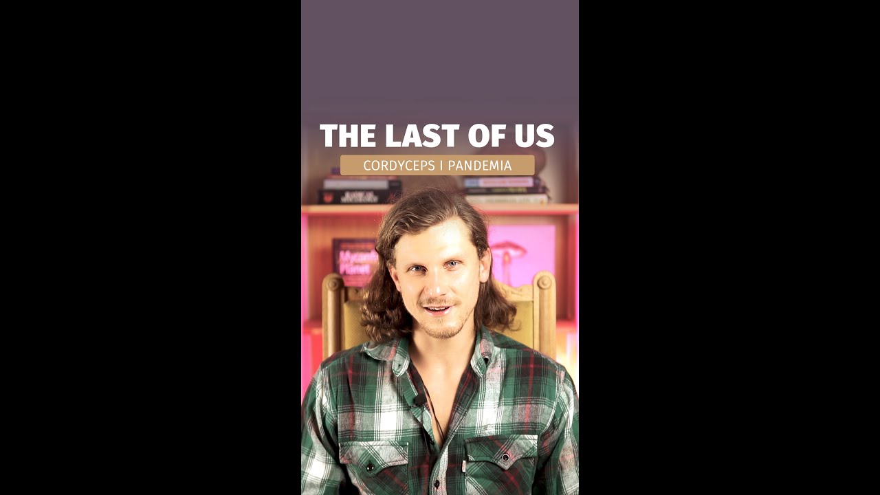 Grzyb z The Last of US | Cordyceps i zombie - YouTube