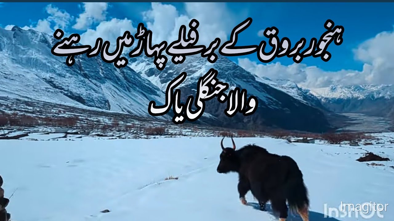 Mountain life Hanjor Broq Khaplu / Natural Beauty of Baltistan ...