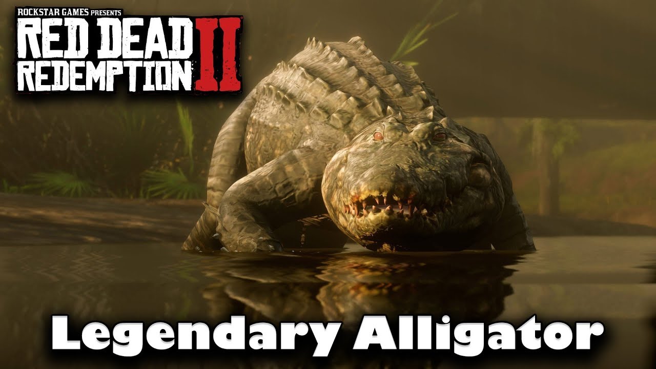Why Can't I Find the Legendary Alligator - Red Dead Redemption 2 - YouTube