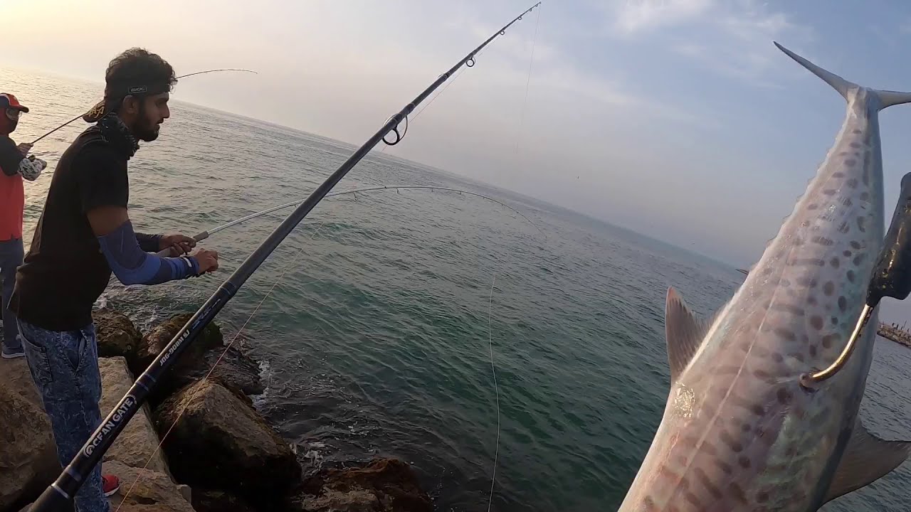 Shore jigging UAE. Kingfish - YouTube