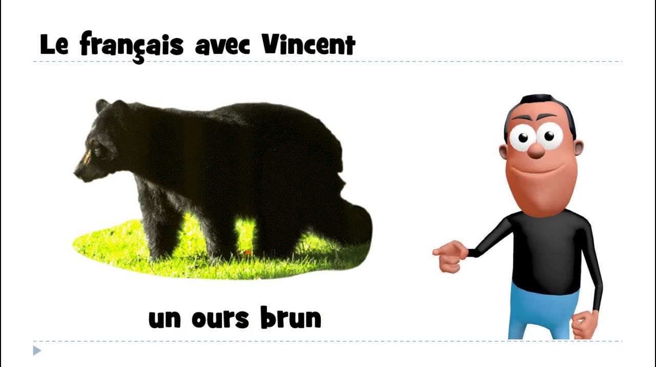 Learn 1 French word # un ours brun - YouTube