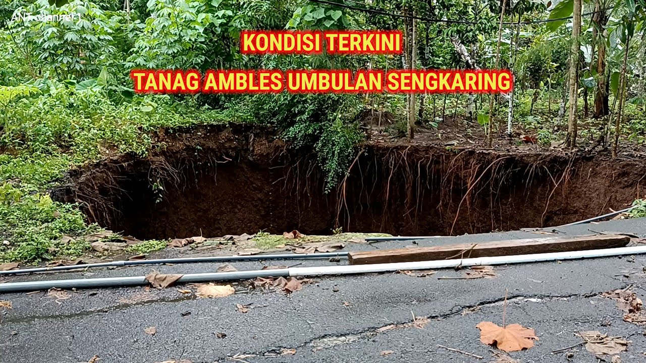 Kondisi terkini tanah amboes Umbulan Sengkaring Tulungrejo Donomulyo ...