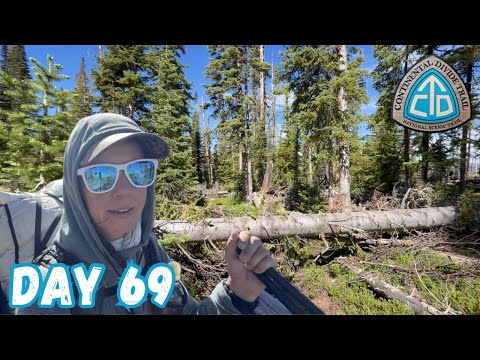 Day 69 | So Many Blowdowns While Trying To Get To The Border | Adventure CDT Thru Hike 2026