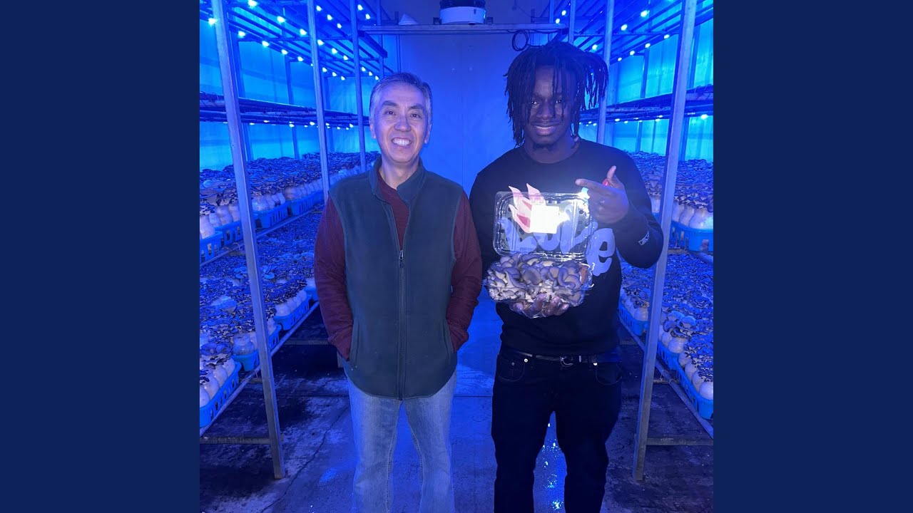 How To Beat The System - YouTube