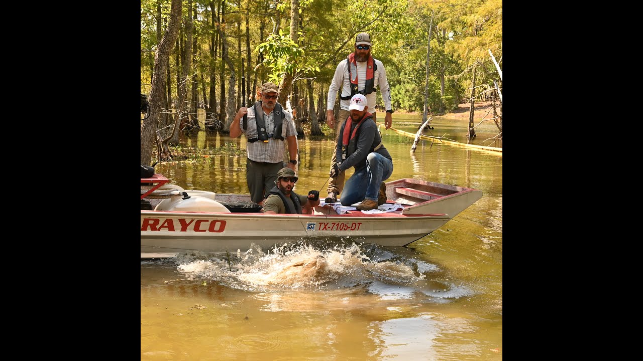 USACE and PWSA Alligator Hunt - YouTube