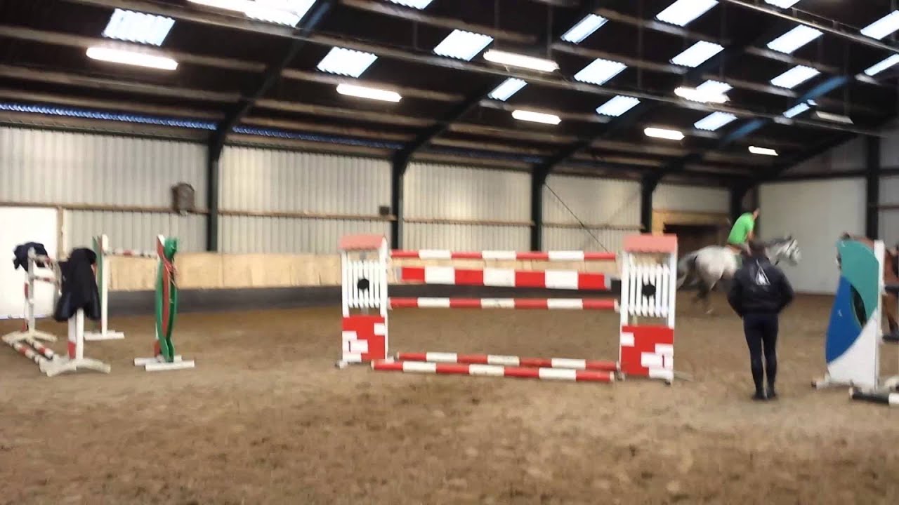 Cassini 1 x contender 6yrs stallion - YouTube