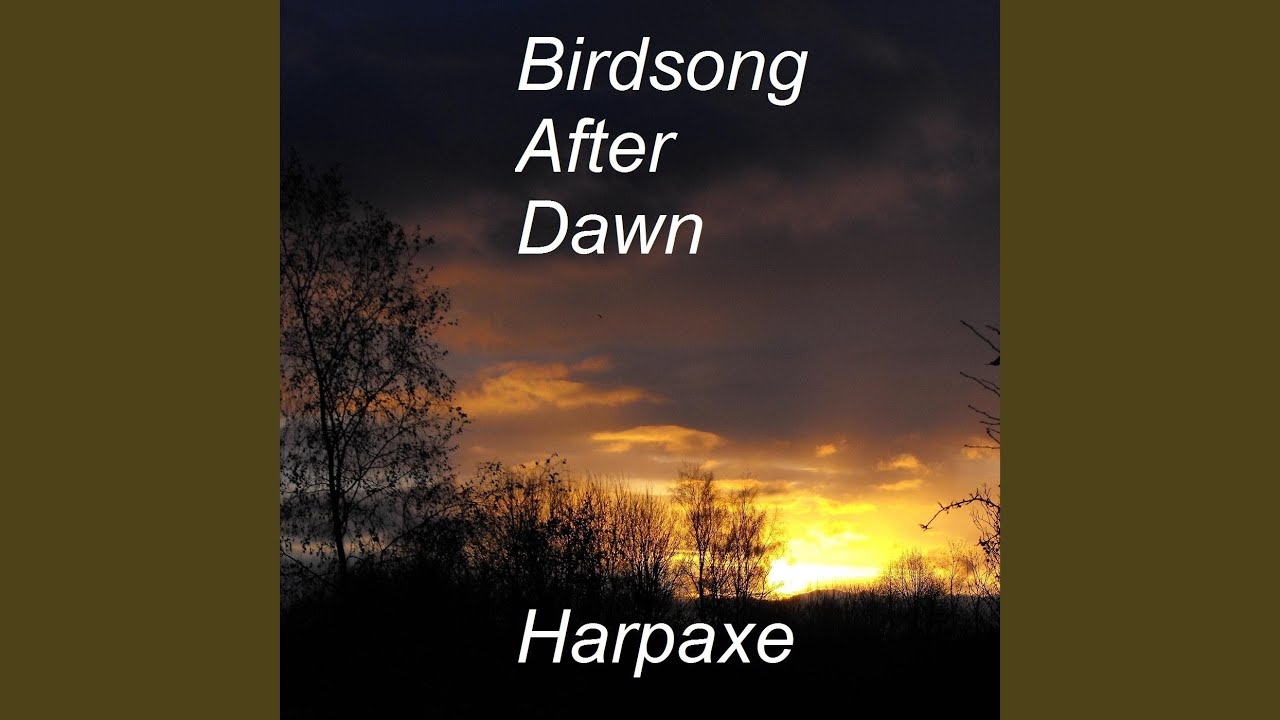 Hear the Curlew Call - YouTube