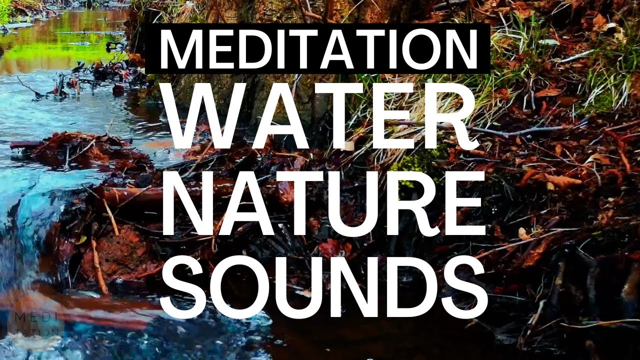 Meditation Water and Nature Sounds for Relaxation and Rest - YouTube