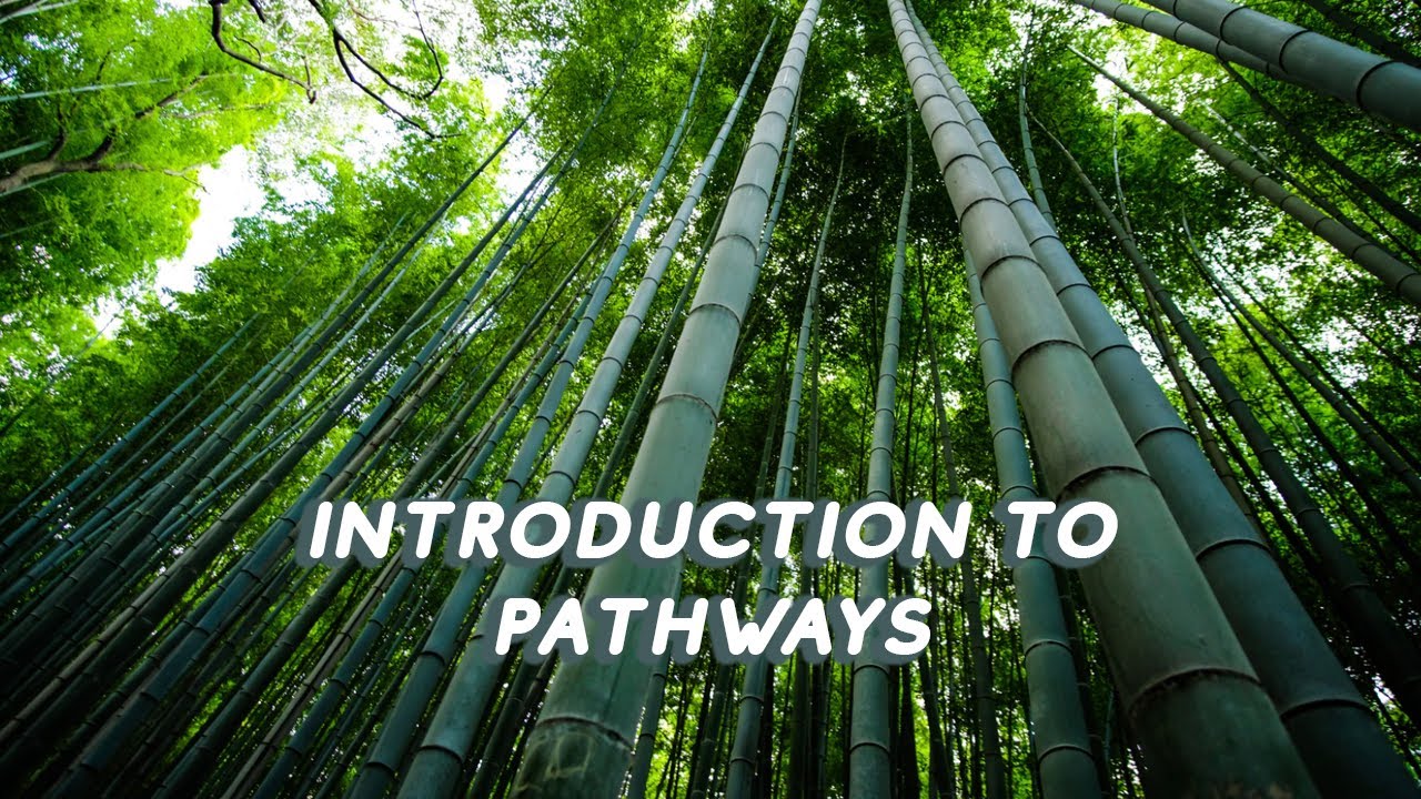 Introduction to Pathways - YouTube