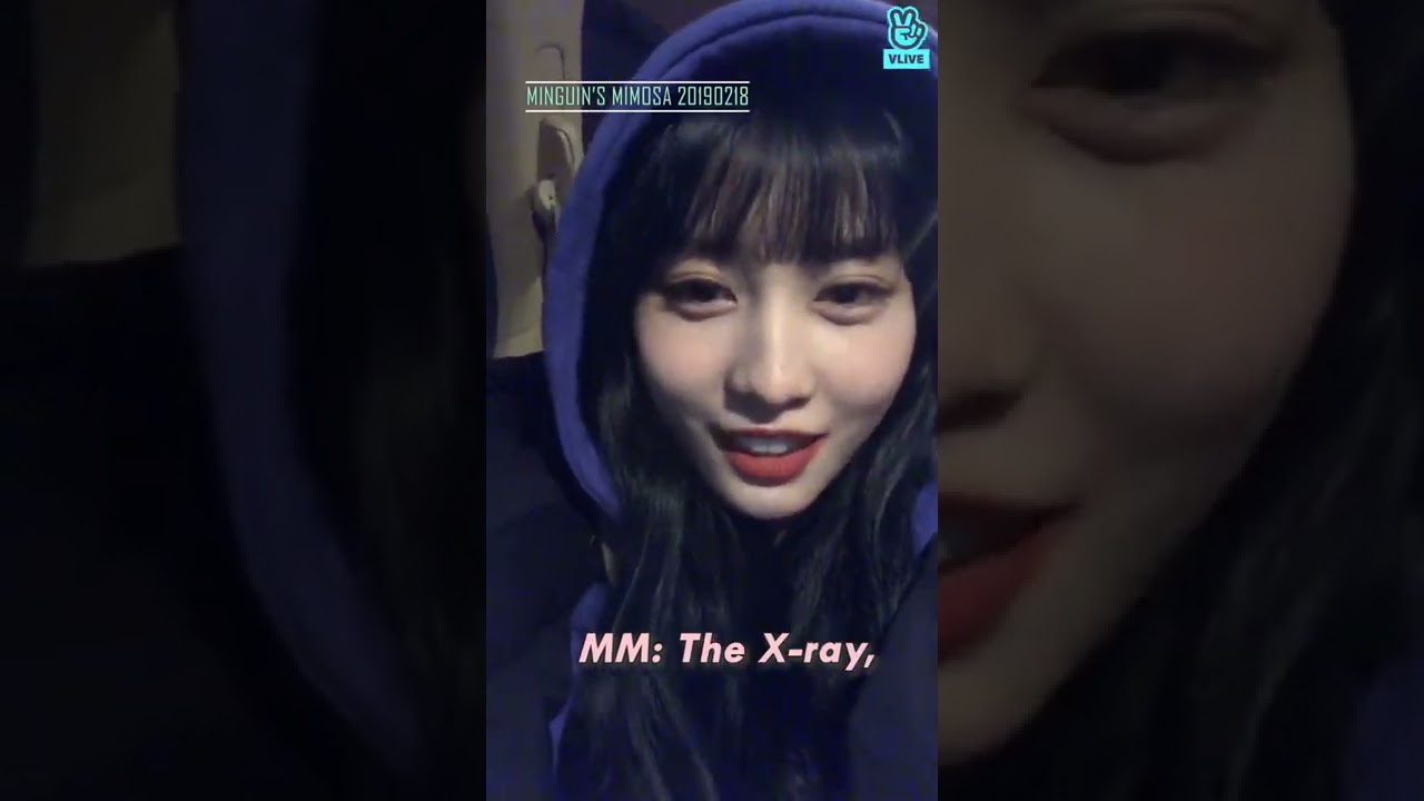 MOMO broke her toe... but she will still dance - YouTube