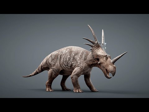 Styracosaurus Sound Effects