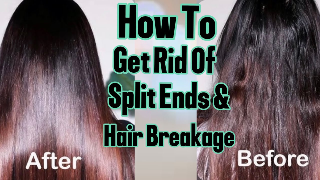 Treatment For Dry Fizzy Hair| Do this to fix split ends and damaged ...