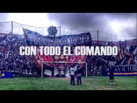 ALIANZA LIMA MI DROGA-CS.LA BANDA LV.(nuevo tema) - YouTube