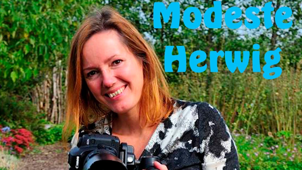 Intro Modeste Herwig - YouTube