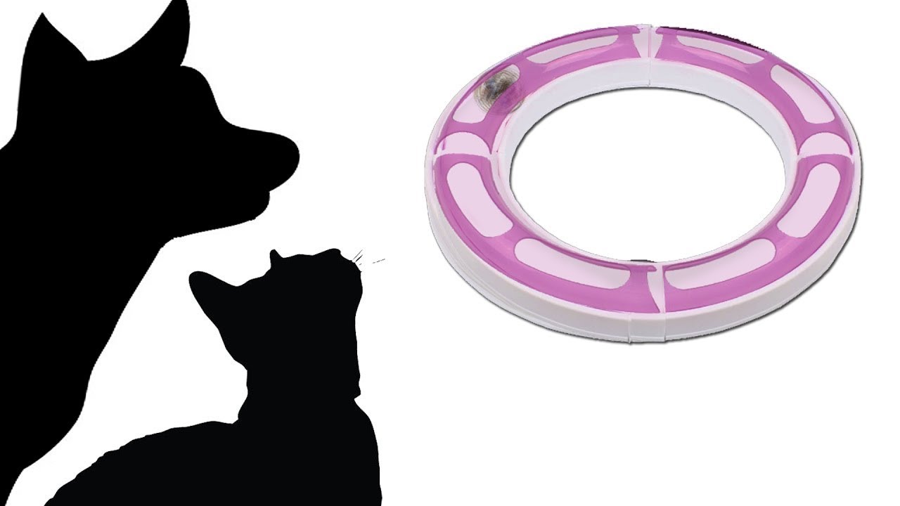 CAT GAMES - CAN YOU CATCH THAT BALL? (FOR CATS ONLY) - YouTube