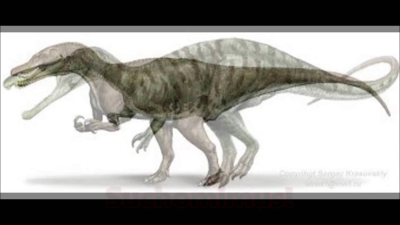 Prehistoric Fight Club Season Finale Trailer - YouTube