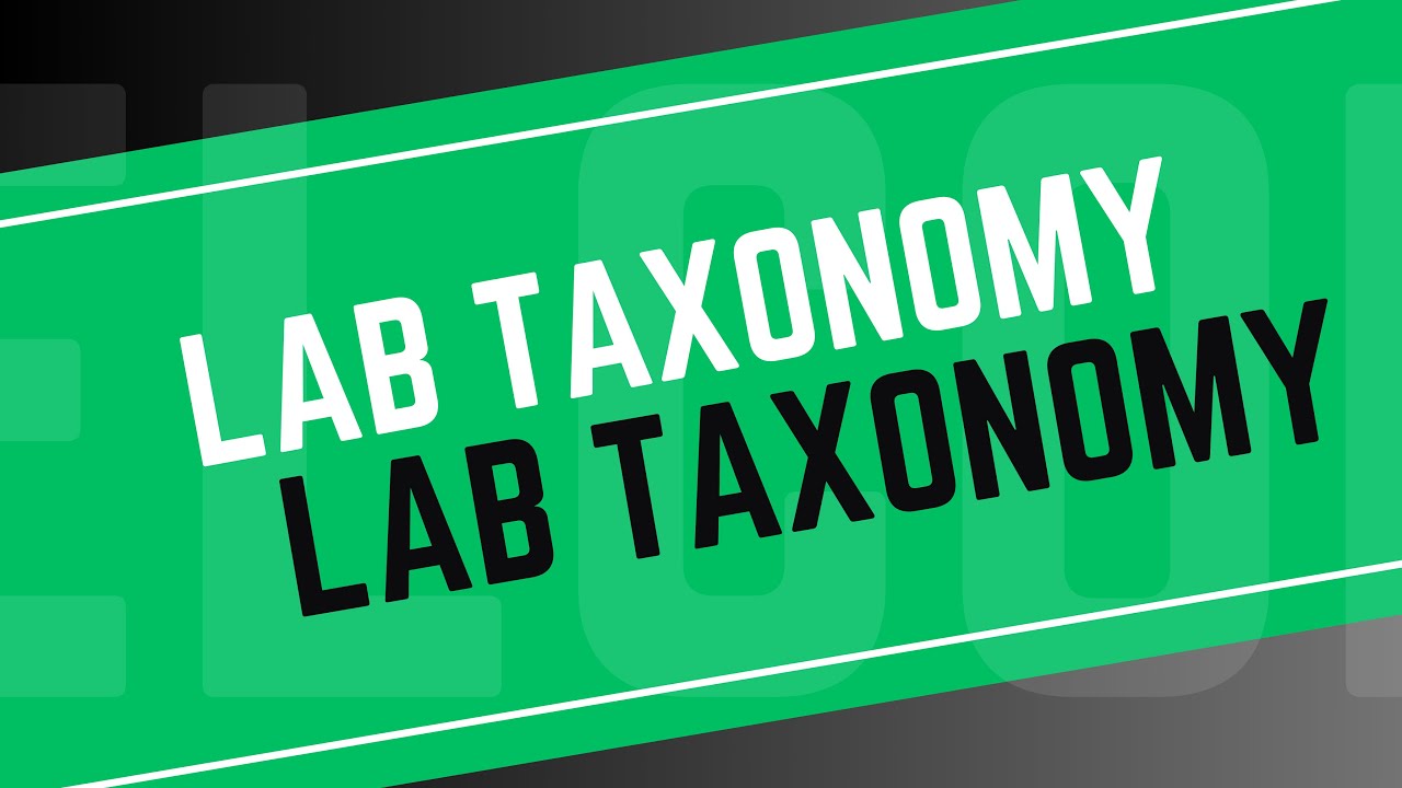 LAB Taxonomy I เทคนิคปฏิบัติการ ม.4 - YouTube