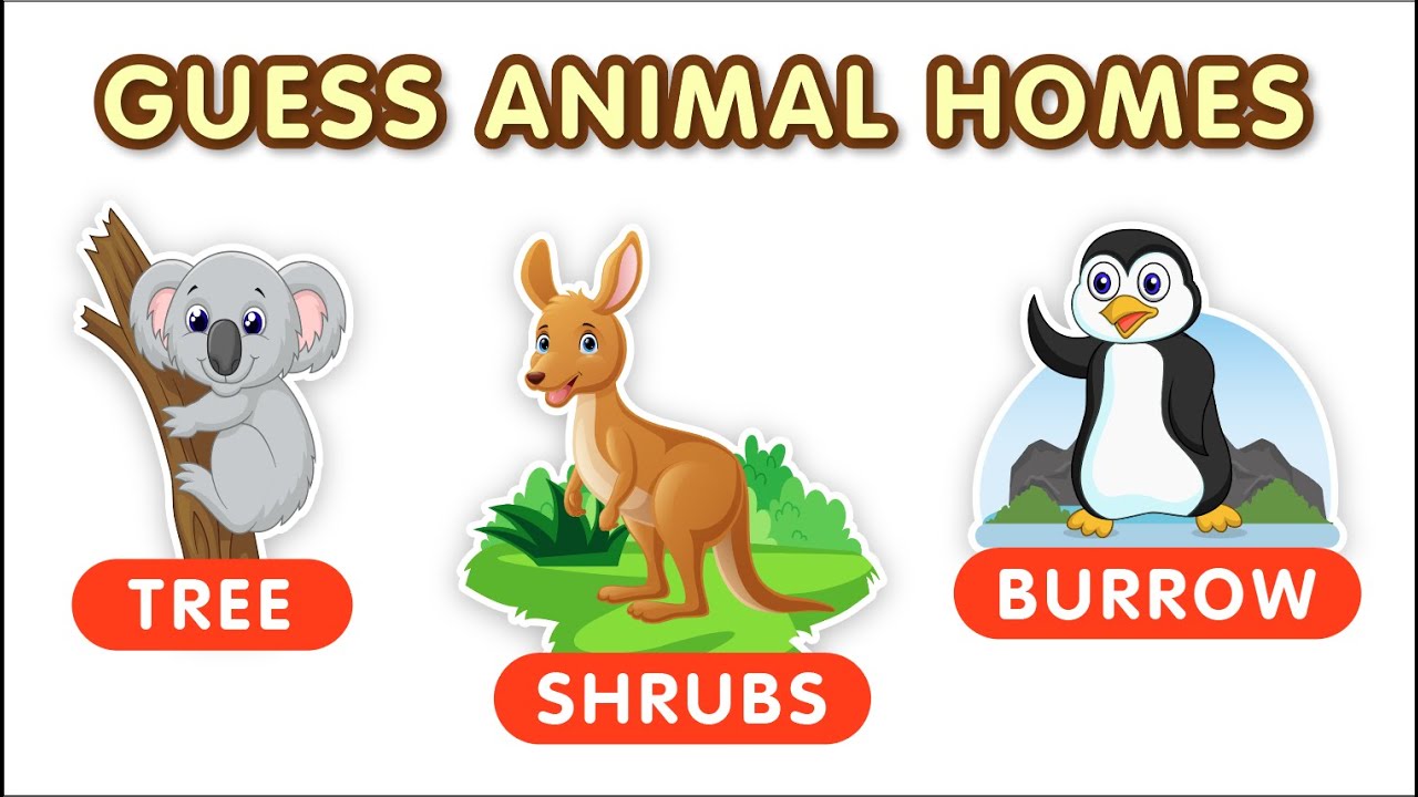 Guess Home of Animals PART 2 | 20 Animals and their Homes - YouTube