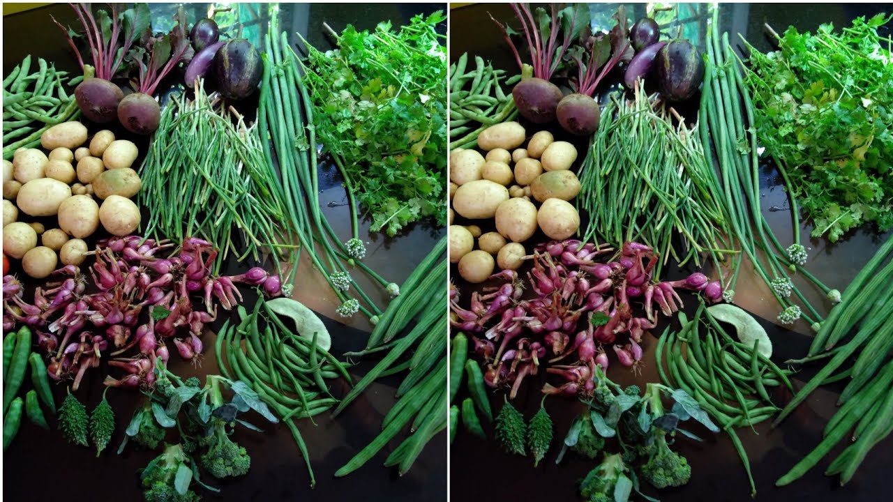 Weekly Harvesting Rooftop Terrace Garden.Harvest Shallots Potato Lady's ...
