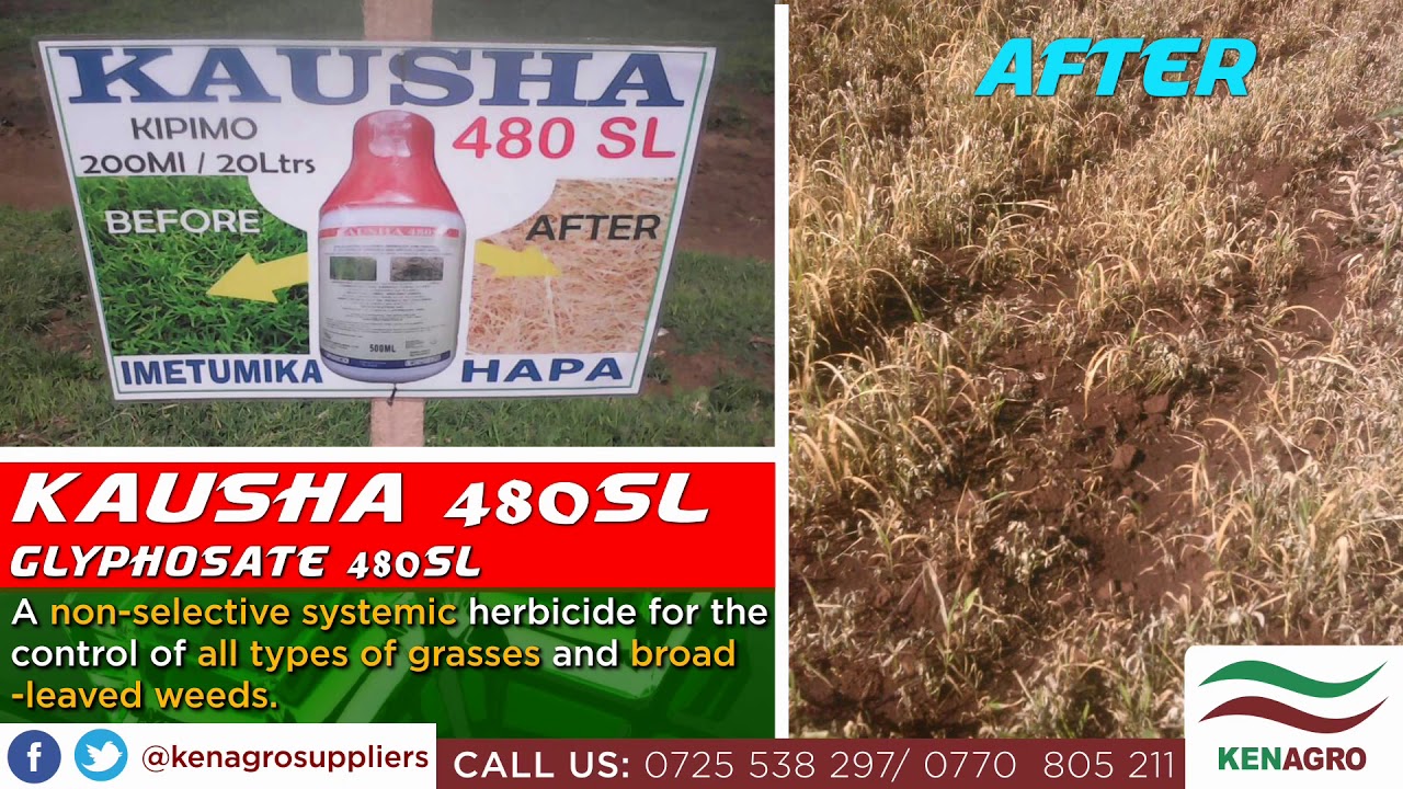 Kausha 480SL Herbicide - YouTube