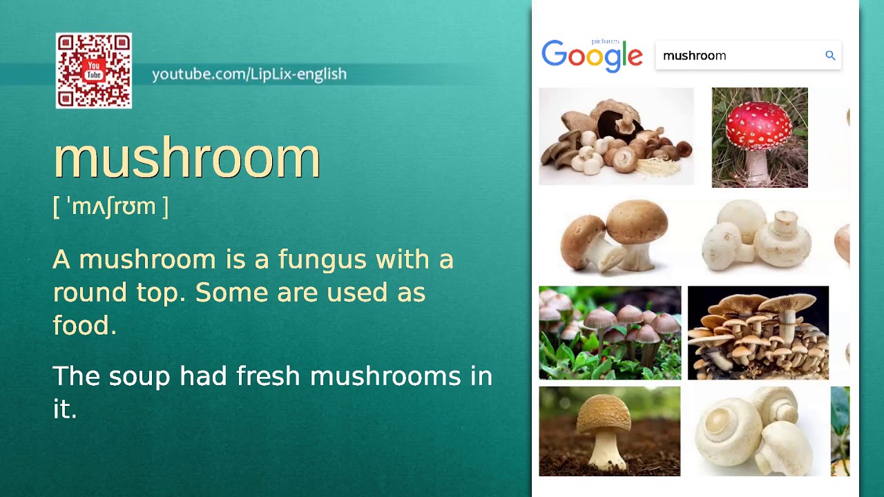 Mushroom A2 Level English Vocabulary Lesson Www LipLix YouTube mushroom-a2-level-english-vocabulary-lesson-www-liplix-youtube