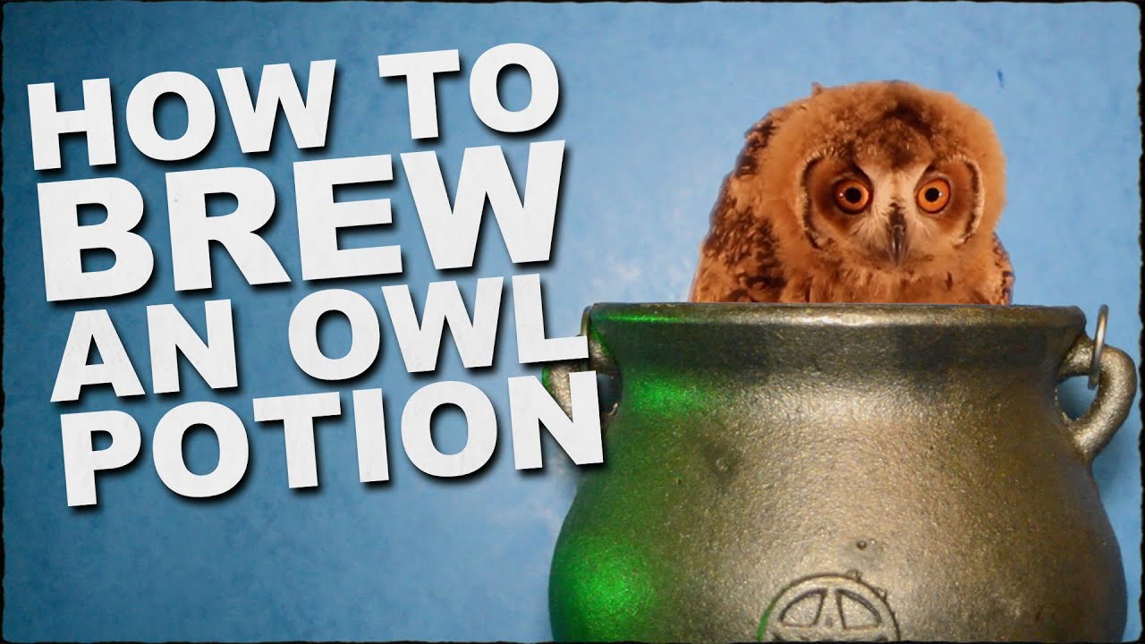 How To Brew A Magic Owl Potion - YouTube