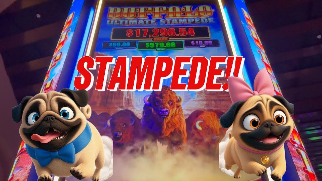 Stampede? Buffalo Ultimate Stampede Slot Machine 🎰 | Gambling Pugs ...