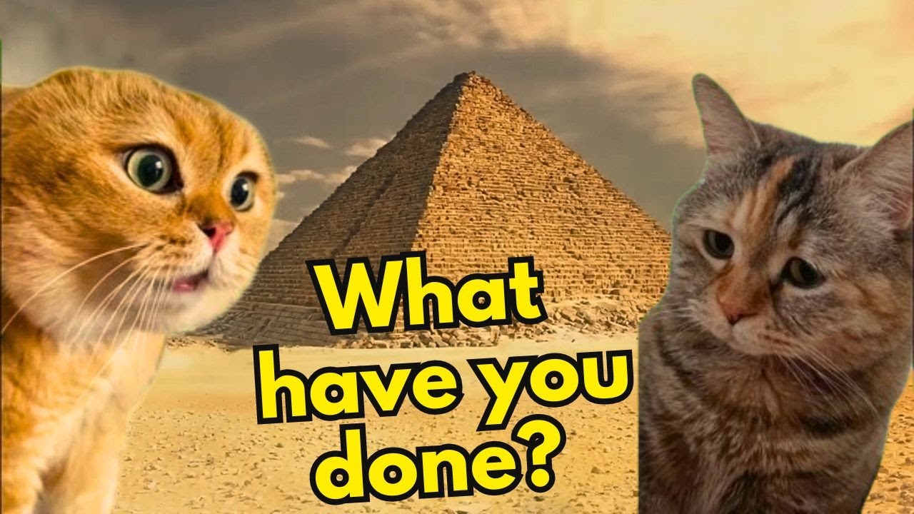 Two Cats are Lost in the Desert (cat memes) - YouTube