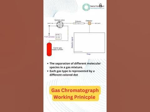Gas Chromatograph working Principle #gas #gases #chromatography # ...