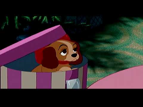 Opening To Cars 2 2011 DVD