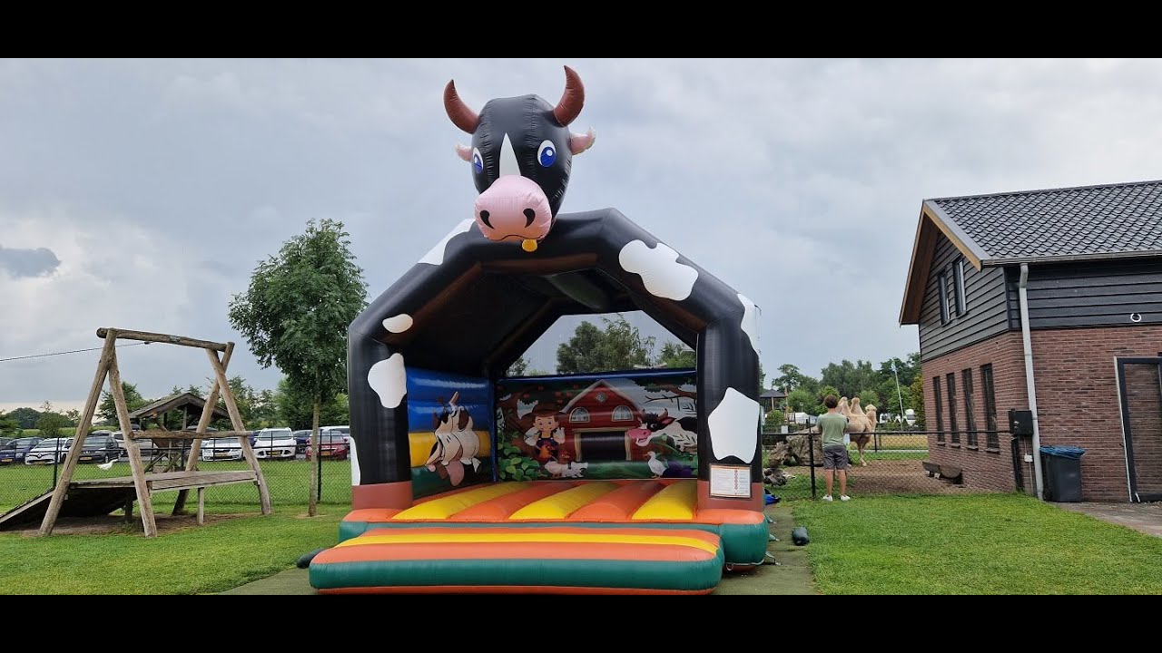 Cow on-jump at playground/cornmaze - YouTube