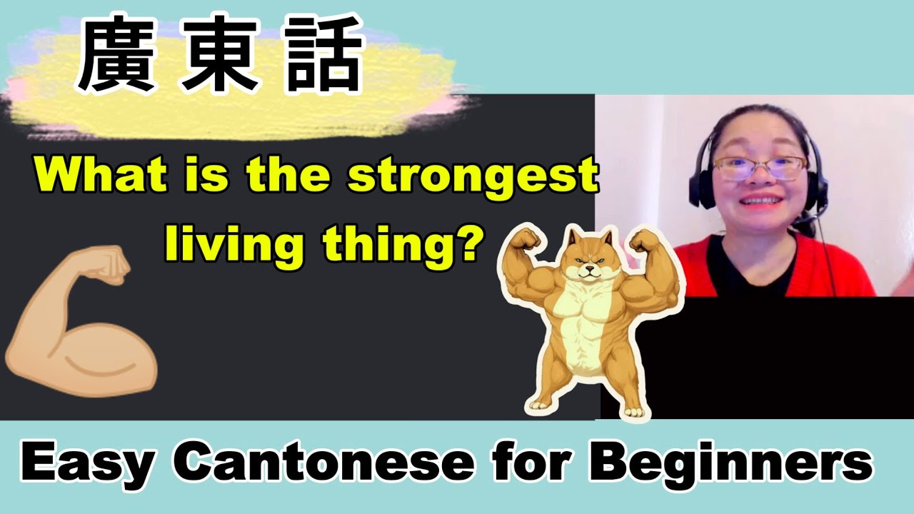 What is the strongest living thing? | Comprehensible Cantonese for ...