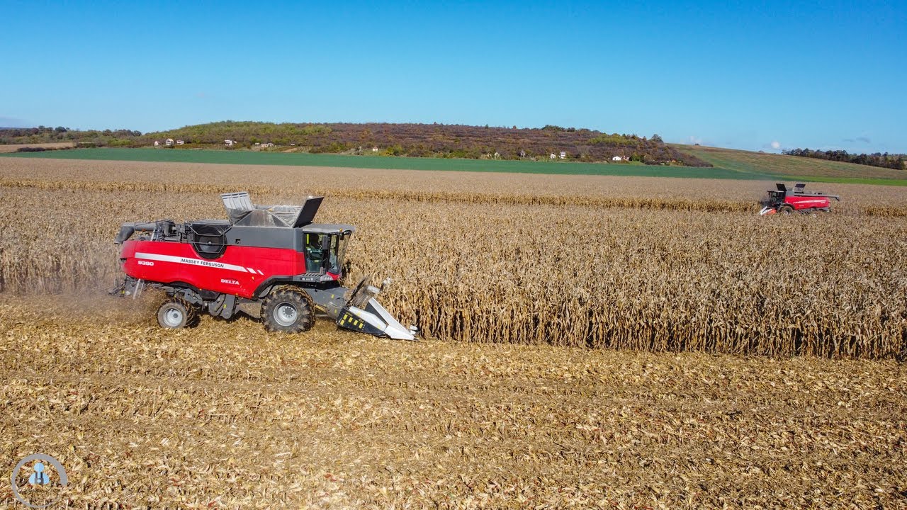 🌽Kukurica 2023 - 2x MASSEY FERGUSON Delta 9380; JOHN DEERE 8310R, 8310 ...