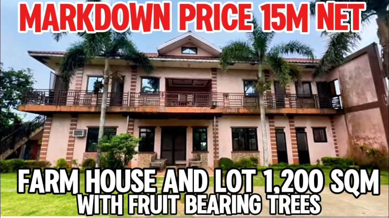 V765-25 MARKDOWN PRICE! 1,200 sqm farm house and lot fully fenced with fruit bearing trees - YouTube