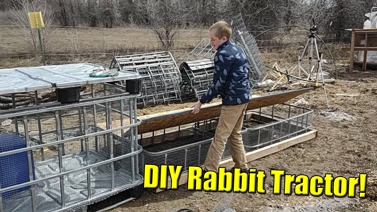 Awesome DIY Rabbit Tractor Colony! - YouTube