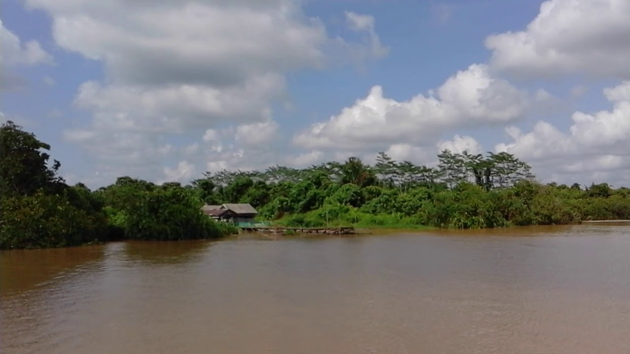 Feri dari hilir Desa Pulau Kaladan ke seberang - YouTube