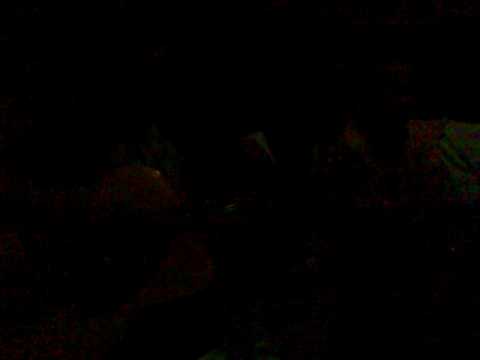 b12 band (barely breathing-acoustic) - YouTube