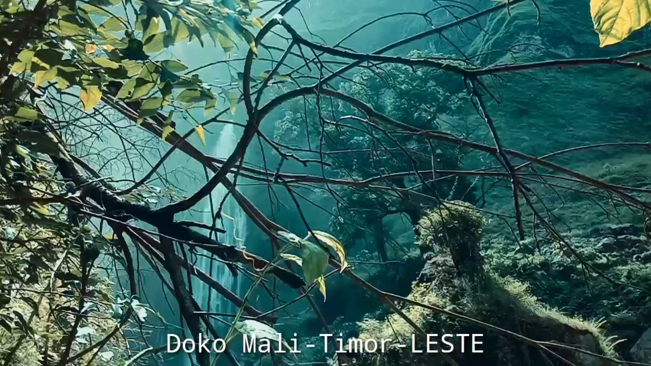 Doko Mali - YouTube