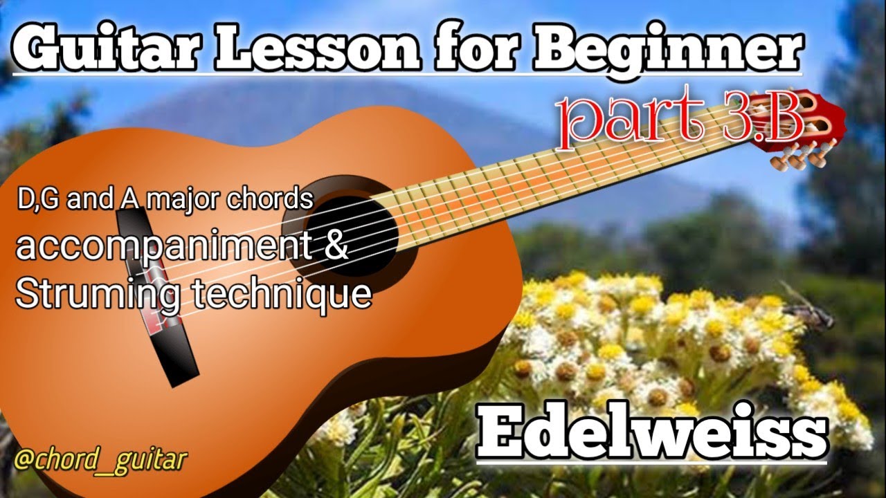 Guitar Lesson for beginner | Part 3.B | D,G,A chords progression with ...