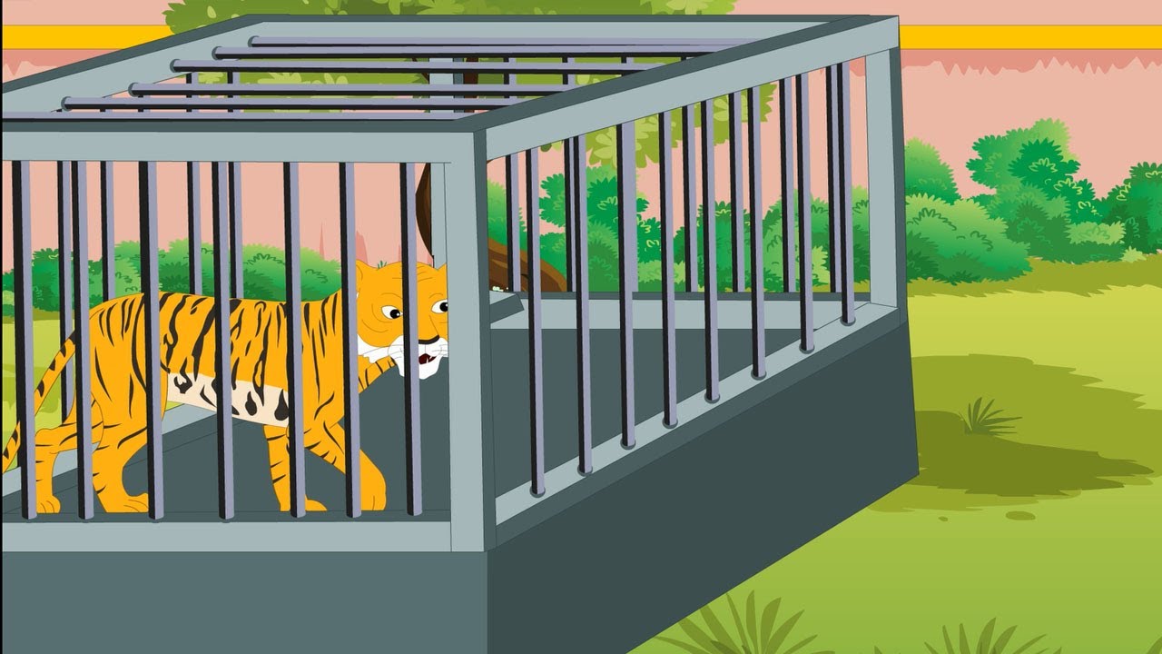 The Tiger in the Zoo - English Story I Bedtime Story I Kids Stories I ...