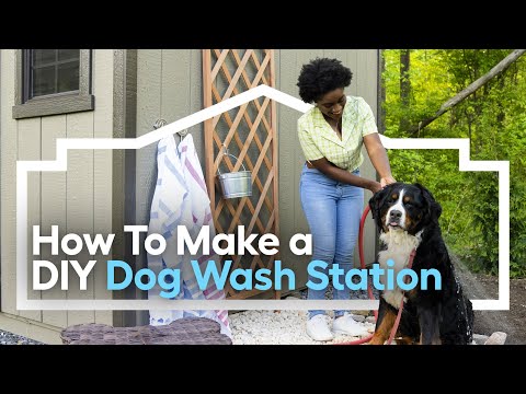 How To Make a DIY Dog Wash Station - YouTube