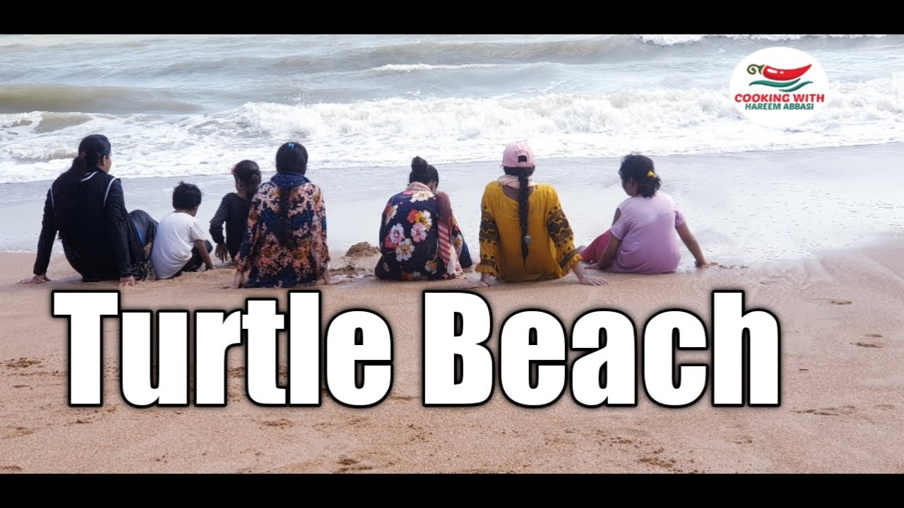 Turtle Beach Karachi |TURTLE BEACH KA PANI - YouTube