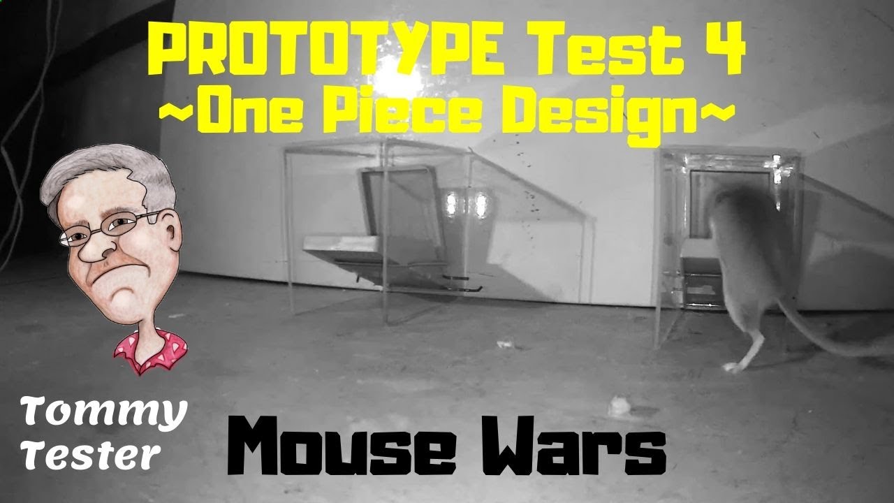 The INSTANT Mouse trap | PROTOTYPE TEST 4 | WYZE CAM - YouTube